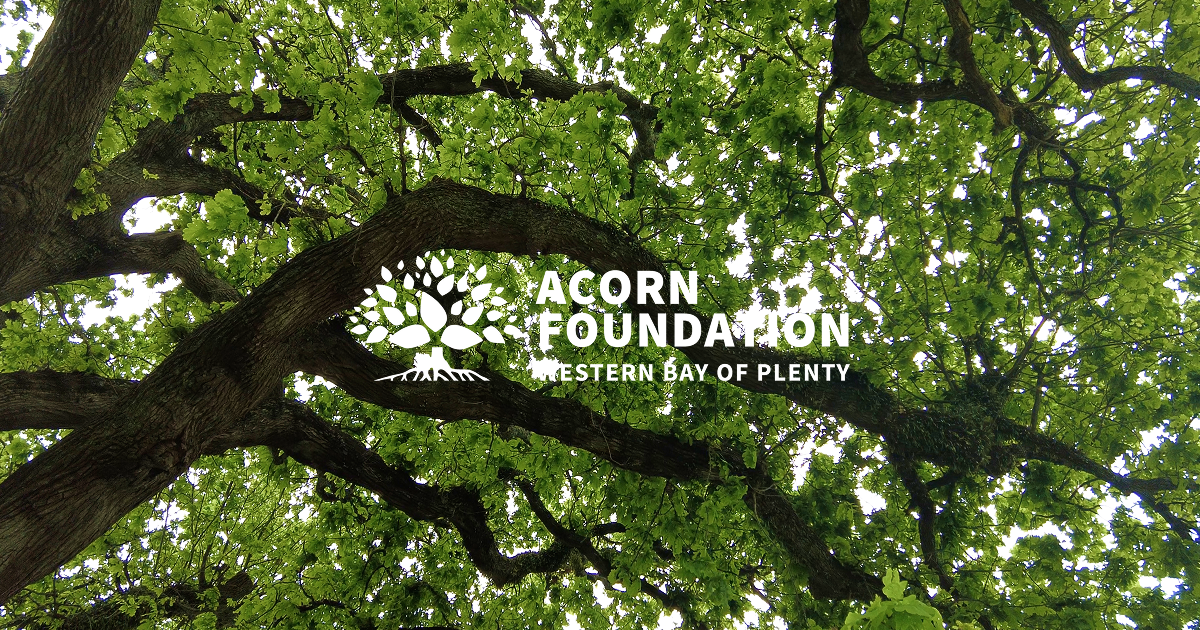 How to Apply for Funding | Acorn Foundation Grants