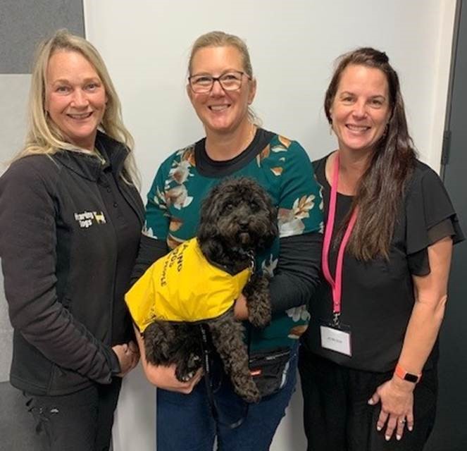 Hearing Dogs for Deaf People NZ :: Acorn Foundation