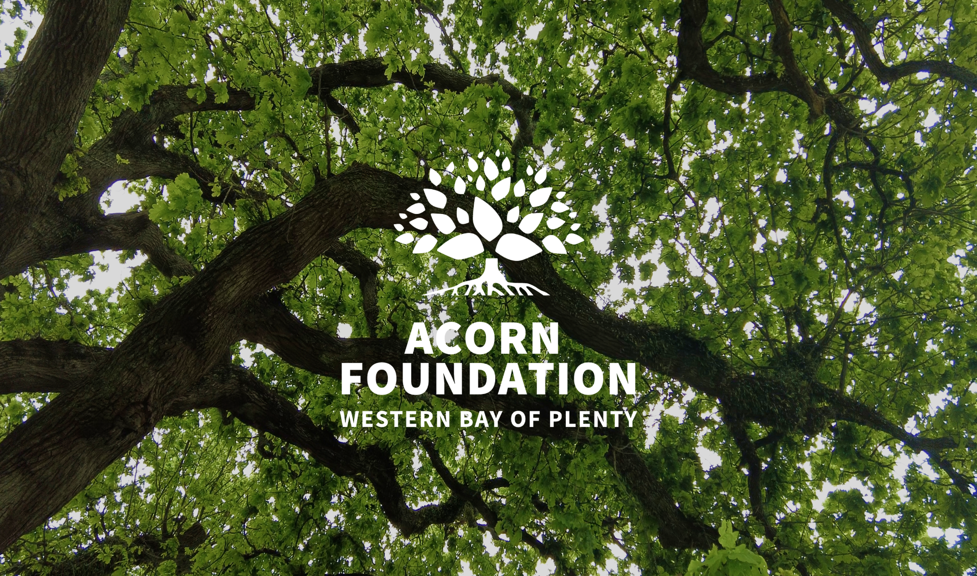 Acorn Foundation NZ